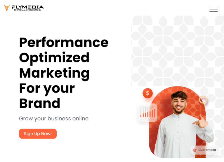 Fly Media Network Review - marketer.money